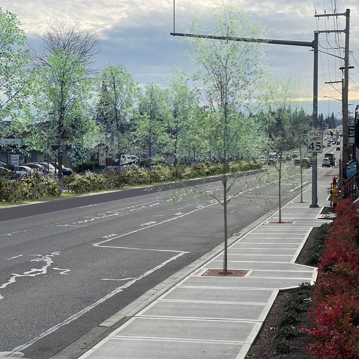 Corridor Planning & Design - SCJ Alliance