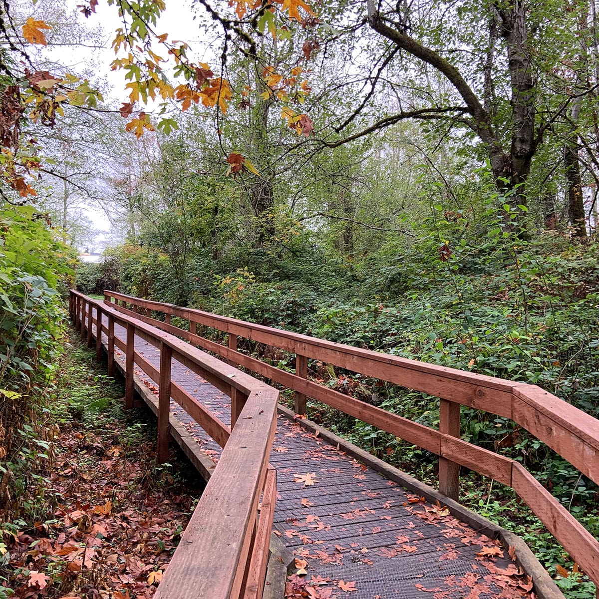 Edgewood Parks, Recreation, and Open Space (PROS) Plan - SCJ Alliance